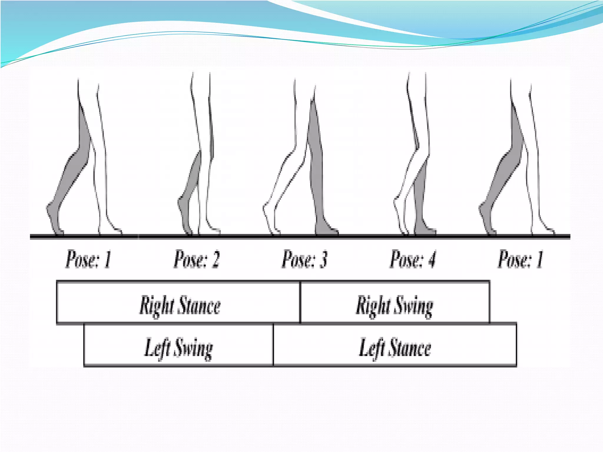 Abnormal gait by SURYA LIKHITA-VAPMS COLLEGE OF PHYSIOTHERAPY | PDF