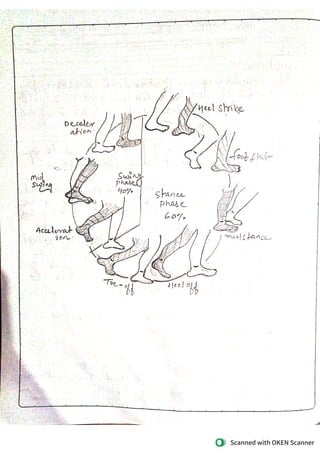 ABNORMAL GAIT PATTERNS ( SANA S wåri BPT 2nd yr ,kmch ) PPT-1.pdf