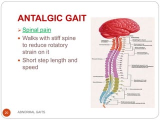 ABNORMAL GAITS IN NEUROLOGICAL CONDITIONS.pptx