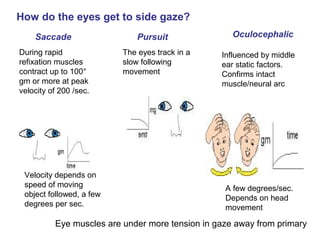 Abnormal Head Posture in squint | PPT