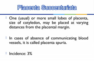 Placenta Spuria
