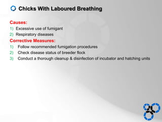 Abnormalities In Hatching Chicks | PPTX
