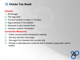 Abnormalities in hatching chicks | PPTX