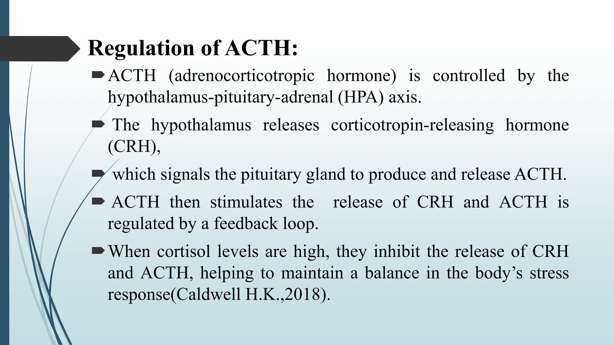 abnormalities of ACTH.pptx