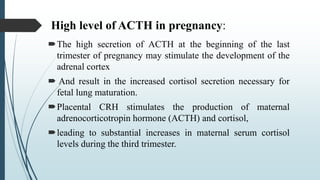abnormalities of ACTH.pptx | Hormonal Disorders | Endocrine and ...