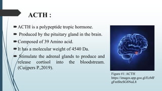 abnormalities of ACTH.pptx | Hormonal Disorders | Endocrine and ...