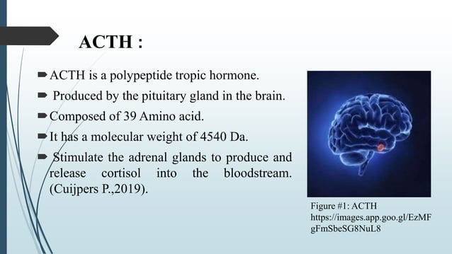abnormalities of ACTH.pptx