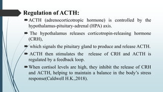 abnormalities of ACTH.pptx | Hormonal Disorders | Endocrine and ...