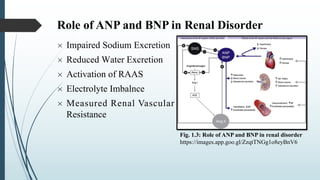 Abnormalities of cardiac hormones...pdf