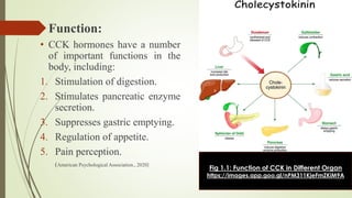 Abnormalities Of cholecystokinin hormones | PPT