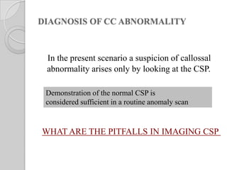 Abnormalities of Corpus Callosum | PPSX