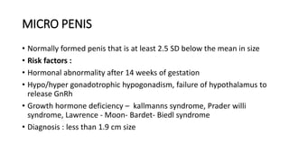 ABNORMALITIES OF EXTERNAL GENITAL TRACT.pptx