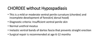 ABNORMALITIES OF EXTERNAL GENITAL TRACT.pptx