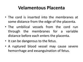 abnormalities of Placenta.pptx