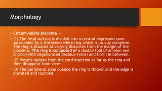 Abnormalities of placenta and cord | PPTX