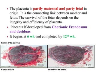 Abnormalities of placenta & cord.pptx