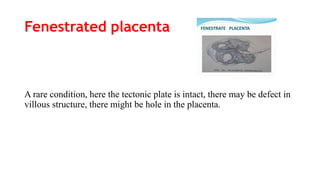 Abnormalities of placenta_cord_and_membrane | PPTX
