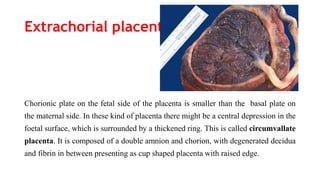 Abnormalities of placenta_cord_and_membrane | PPTX