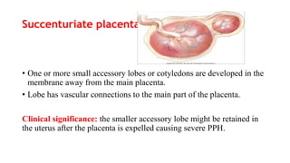 Abnormalities of placenta_cord_and_membrane | PPTX