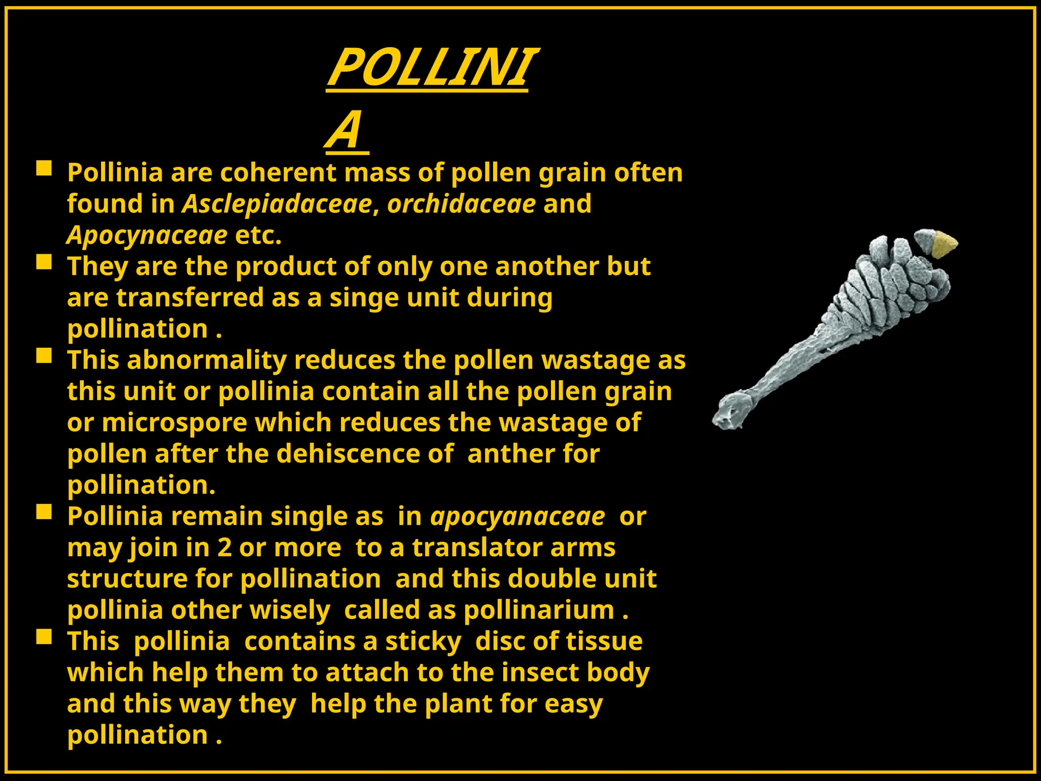 Identifying and Understanding Pollen Abnormalities: Impacts on ...