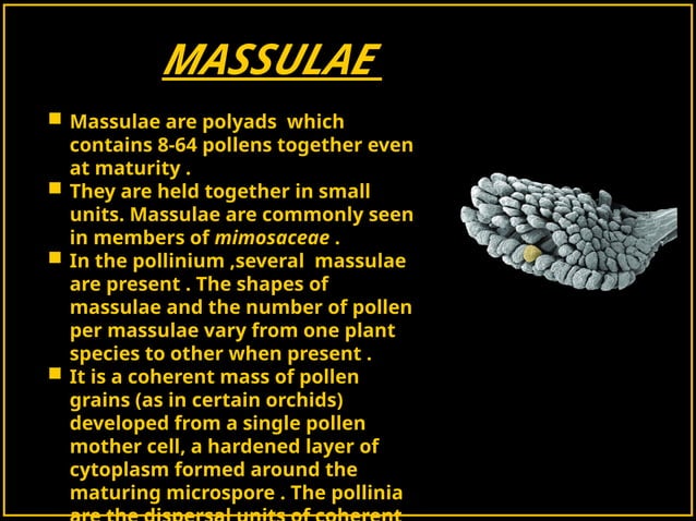 Identifying and Understanding Pollen Abnormalities: Impacts on ...