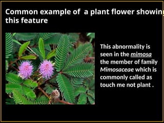 Identifying and Understanding Pollen Abnormalities: Impacts on ...