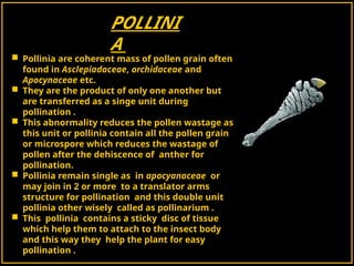 Identifying and Understanding Pollen Abnormalities: Impacts on ...