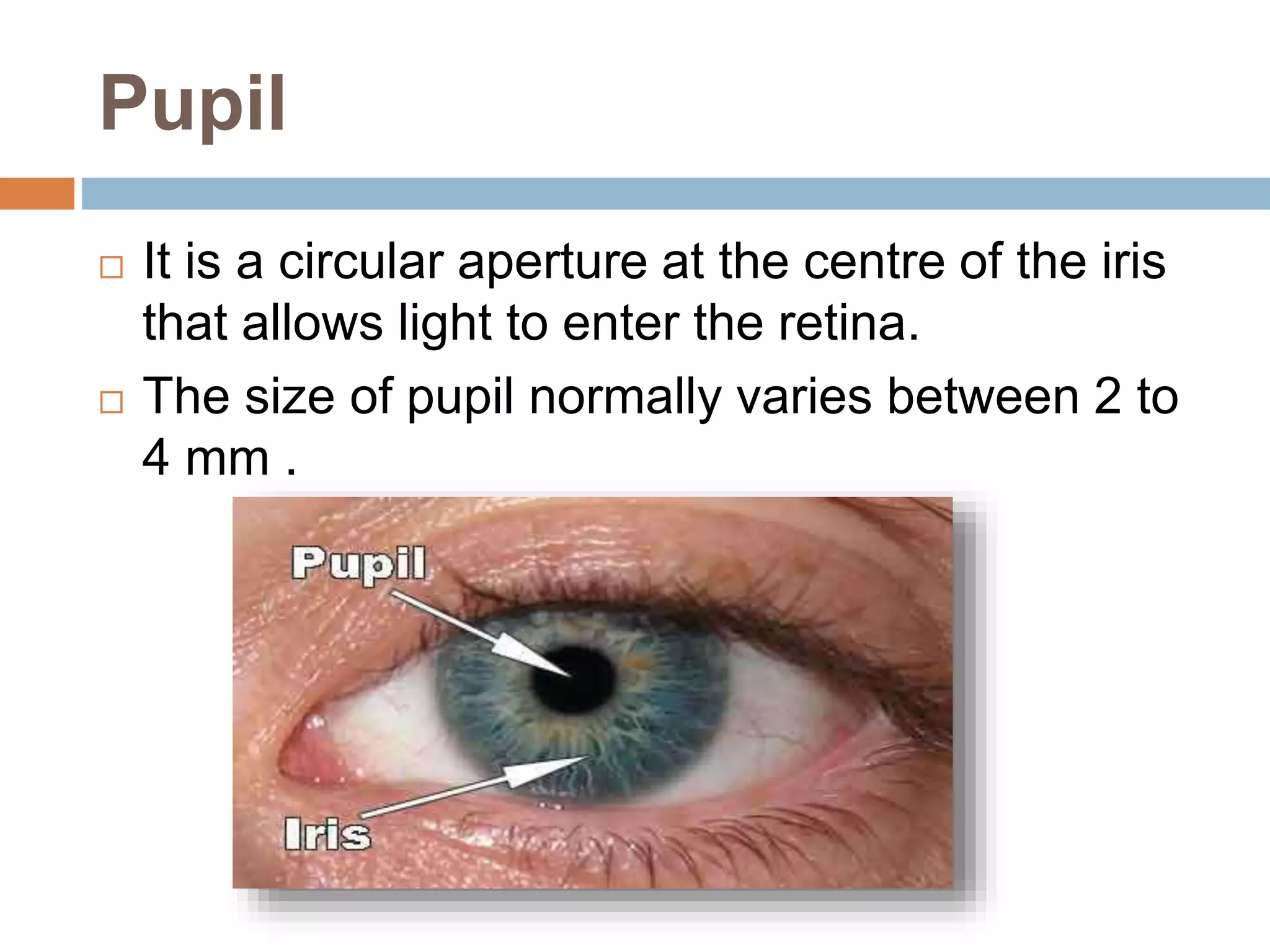 Abnormalities of pupil | PPTX