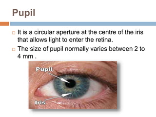 Abnormalities of pupil | PPTX