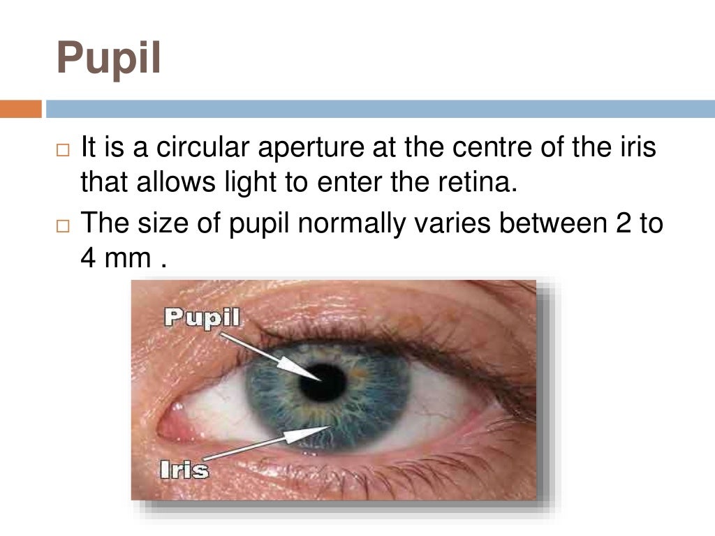 Abnormalities of pupil