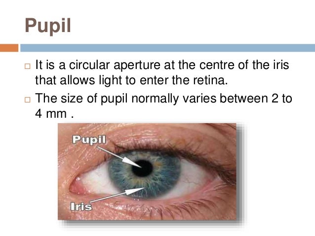 Abnormalities of pupil