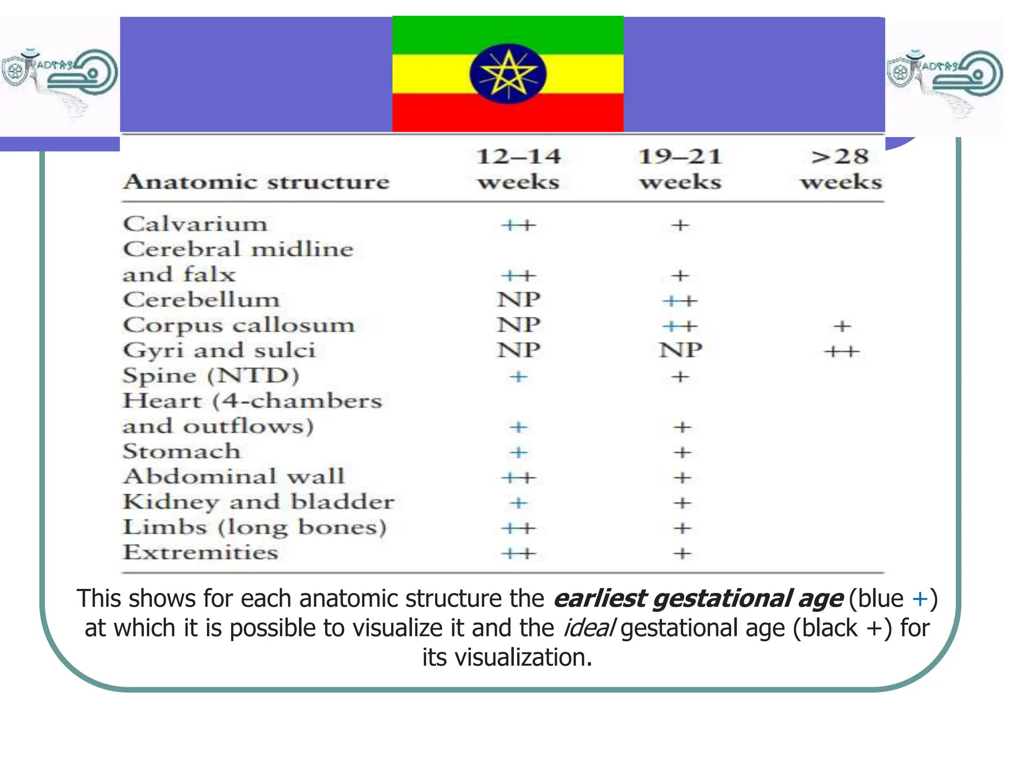 Abnormalities of the Fetal Central Nervous System Prenatal US Diagnosis ...