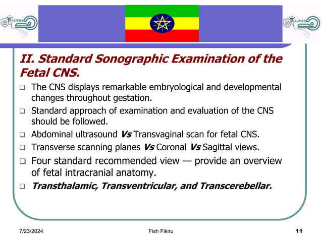 Abnormalities of the Fetal Central Nervous System Prenatal US Diagnosis ...