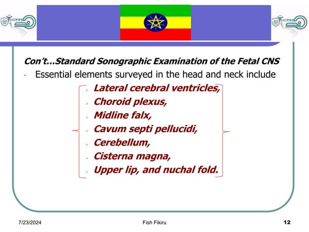 Abnormalities of the Fetal Central Nervous System Prenatal US Diagnosis ...