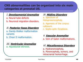 Abnormalities of the Fetal Central Nervous System Prenatal US Diagnosis ...