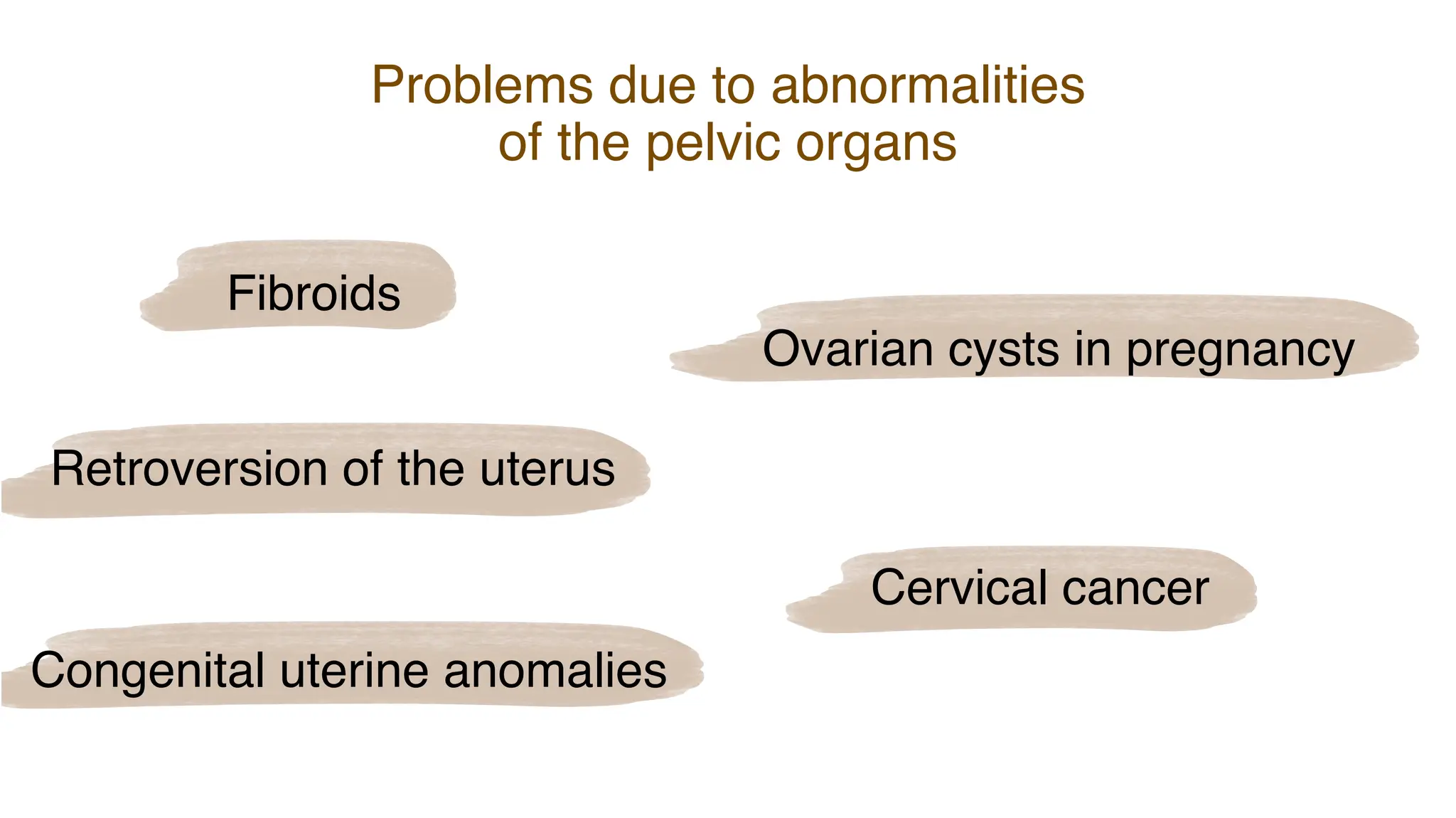Understanding Pelvic Organ Abnormalities: Clinical Implications ...