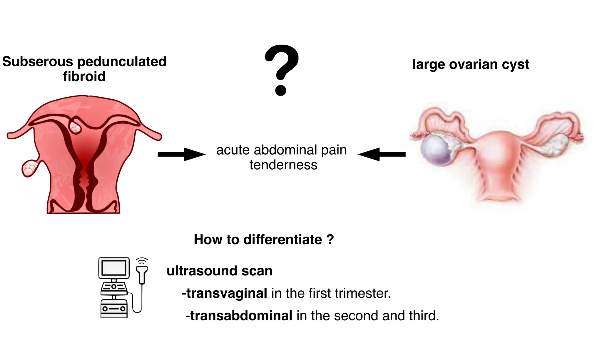 Understanding Pelvic Organ Abnormalities: Clinical Implications ...