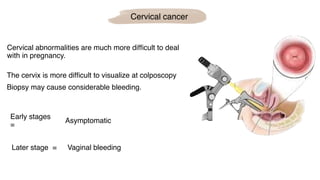 Understanding Pelvic Organ Abnormalities: Clinical Implications ...