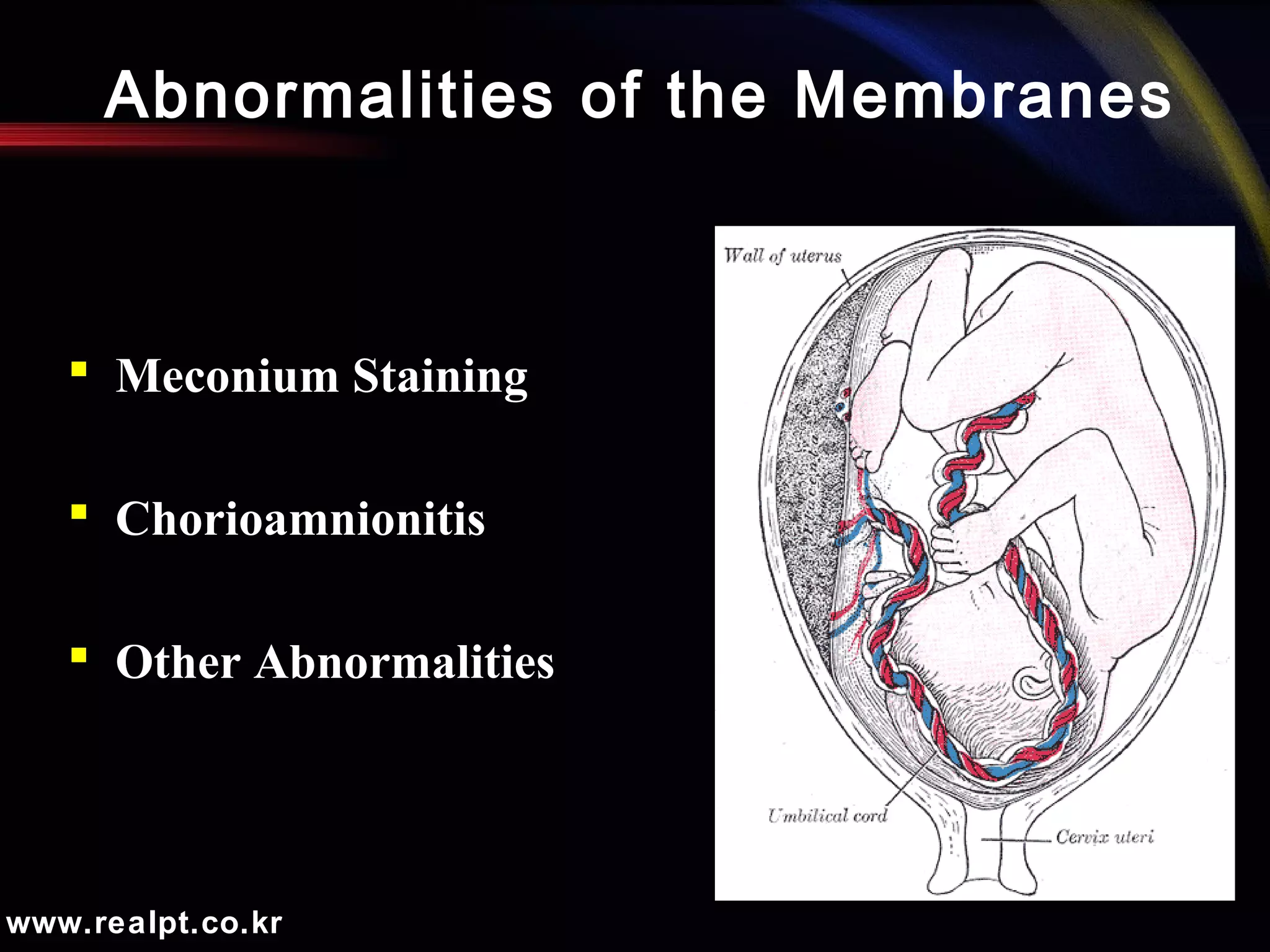 Abnormalities of the Placenta, Umbilical Cord and Membranes | PPT