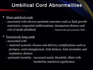 Abnormalities of the Placenta, Umbilical Cord and Membranes | PPT