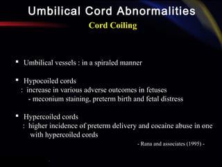 Abnormalities of the Placenta, Umbilical Cord and Membranes | PPT