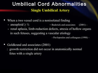 Abnormalities of the Placenta, Umbilical Cord and Membranes | PPT