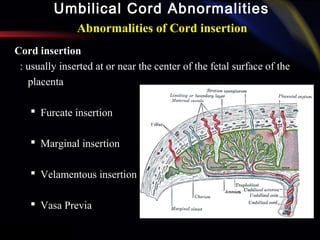 Abnormalities of the Placenta, Umbilical Cord and Membranes | PPT
