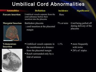Abnormalities of the Placenta, Umbilical Cord and Membranes | PPT