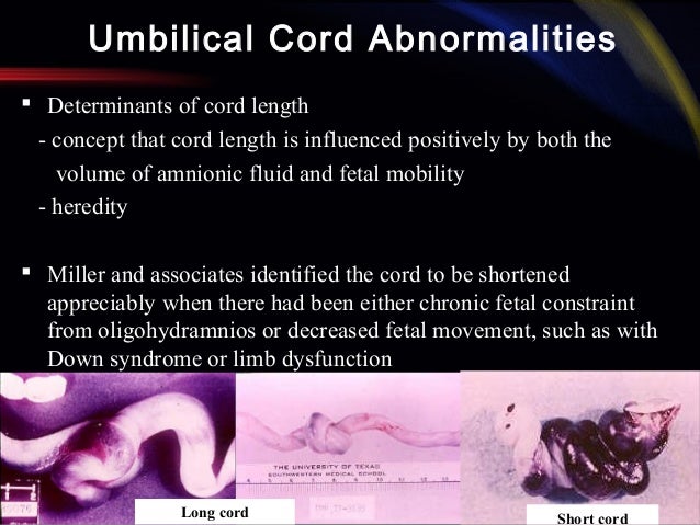 Abnormalities of the Placenta, Umbilical Cord and Membranes