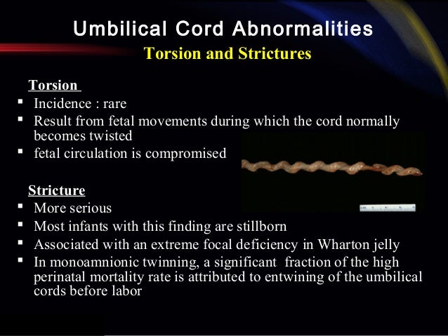 Abnormalities of the Placenta, Umbilical Cord and Membranes