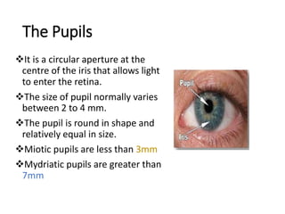 Abnormalities of the Pupil.pptx