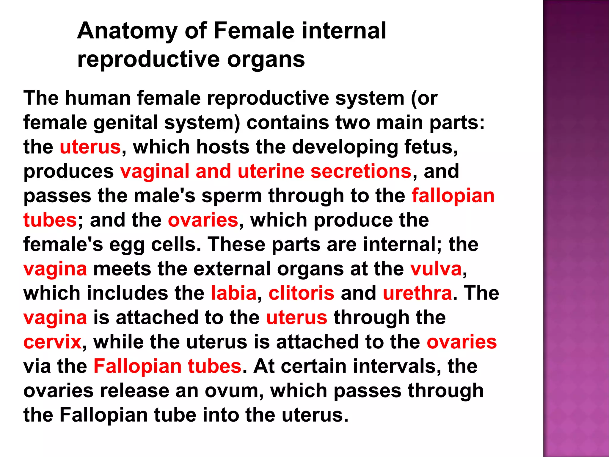 Abnormalities of the reproductive tract | PPT