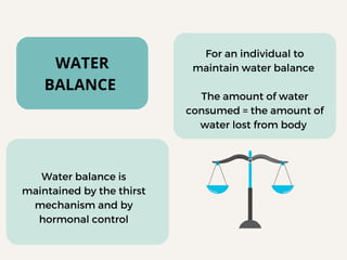 Abnormalities of water imbalance .pdf