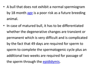 abnormality,Storage, Shipment of sperms.pptx